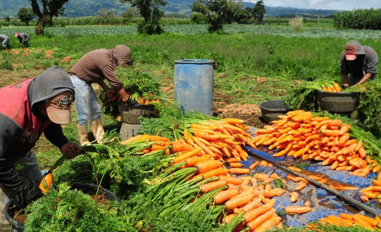 La industria verde puede impulsar el crecimiento en América Latina y el ...
